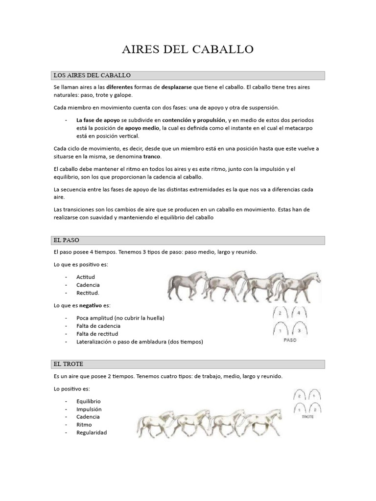 AIRES DEL CABALLO | PDF