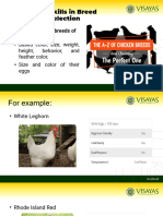 CLASS 3 SCIENCE CHAPTER 3 BIRDS Mrs. Geetarani Das | PDF | Birds | Feather