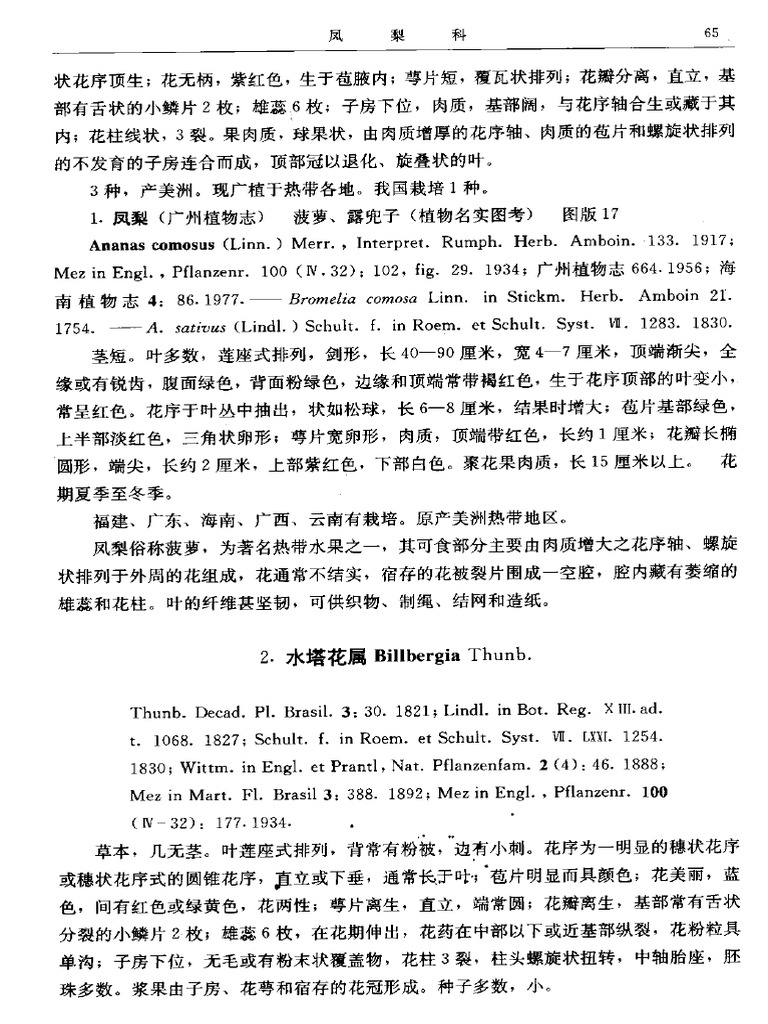 065 Pdf