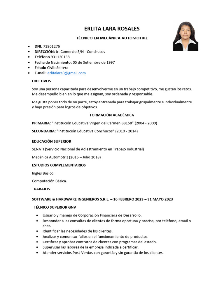 Erlita Lara Rosales CV | PDF