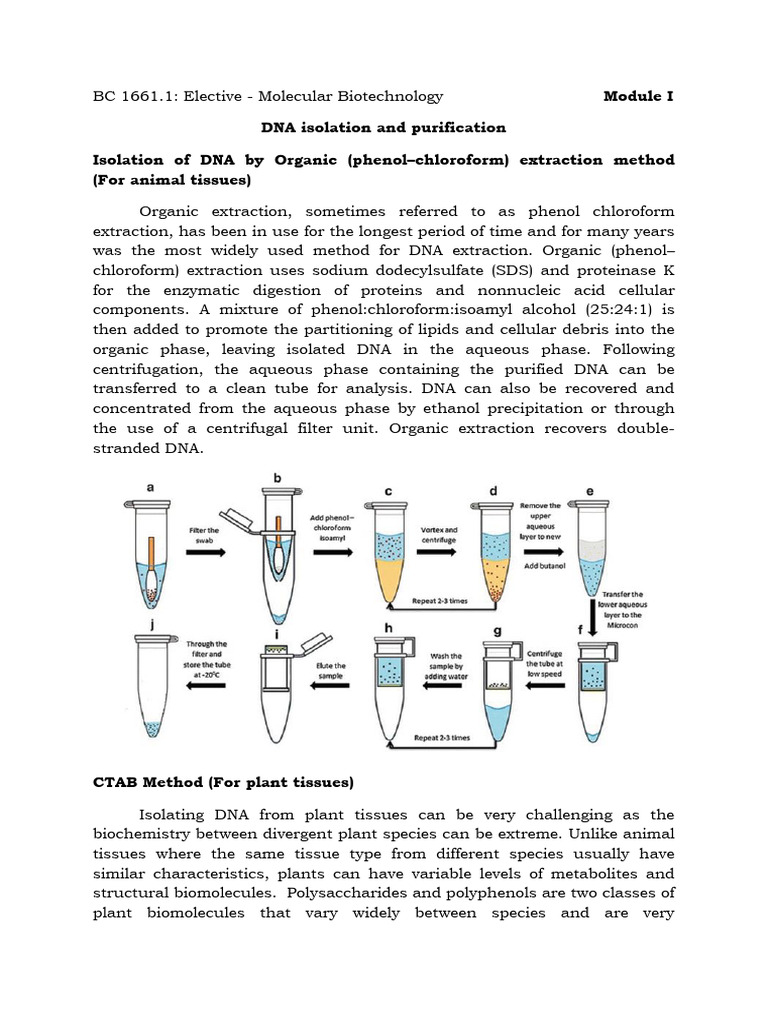 Elective Module I | PDF | Restriction Enzyme | Dna