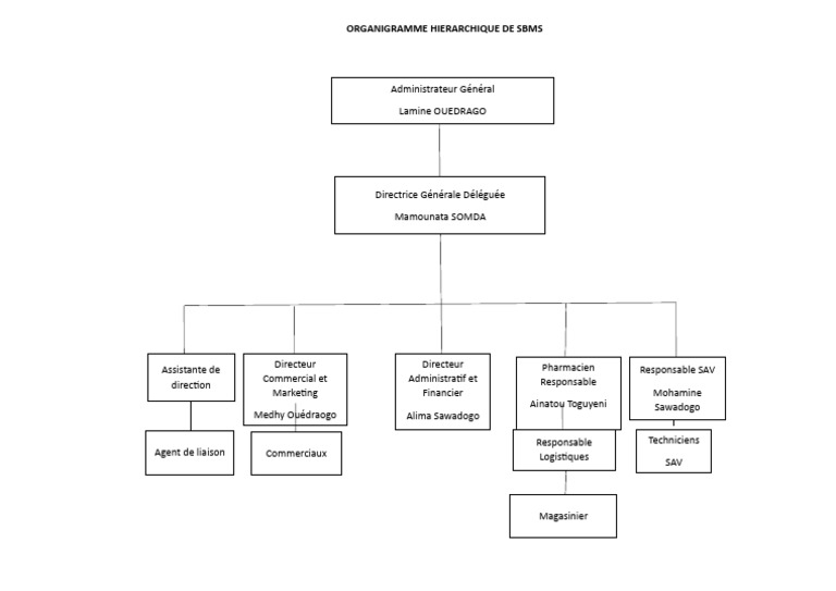 Structure Hiérarchique de SBMS | PDF