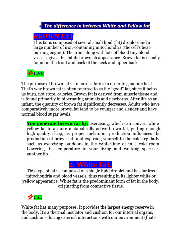 Yellow vs White Fat Explained | PDF | Adipose Tissue | Determinants Of ...