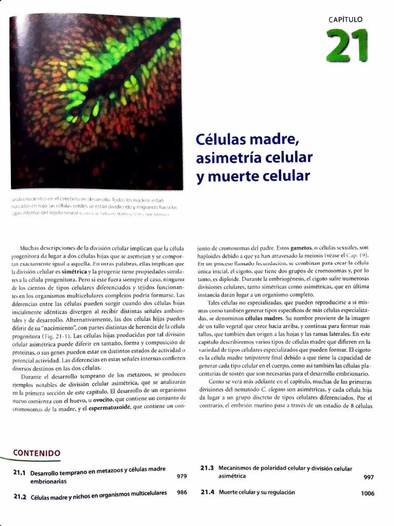 Lodish - Capitulo21 | PDF | Embrión | Biología Celular)