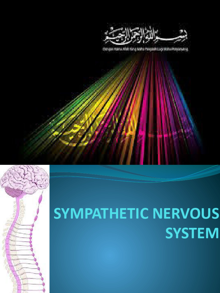 Sympathetic Nervous System | PDF | Receptor Antagonist | Physiology
