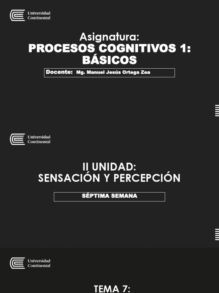 Tema 07 | PDF | Percepción | Experiencia