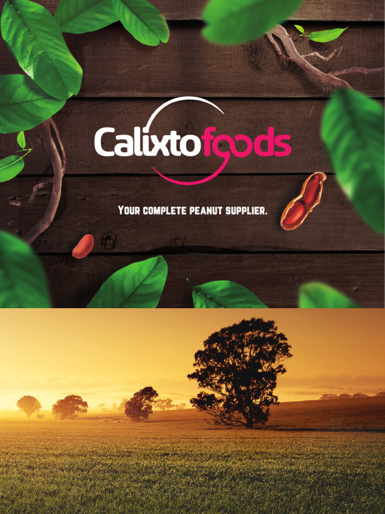 03 Brochura Calixto Foods | PDF | Peanuts | Customer