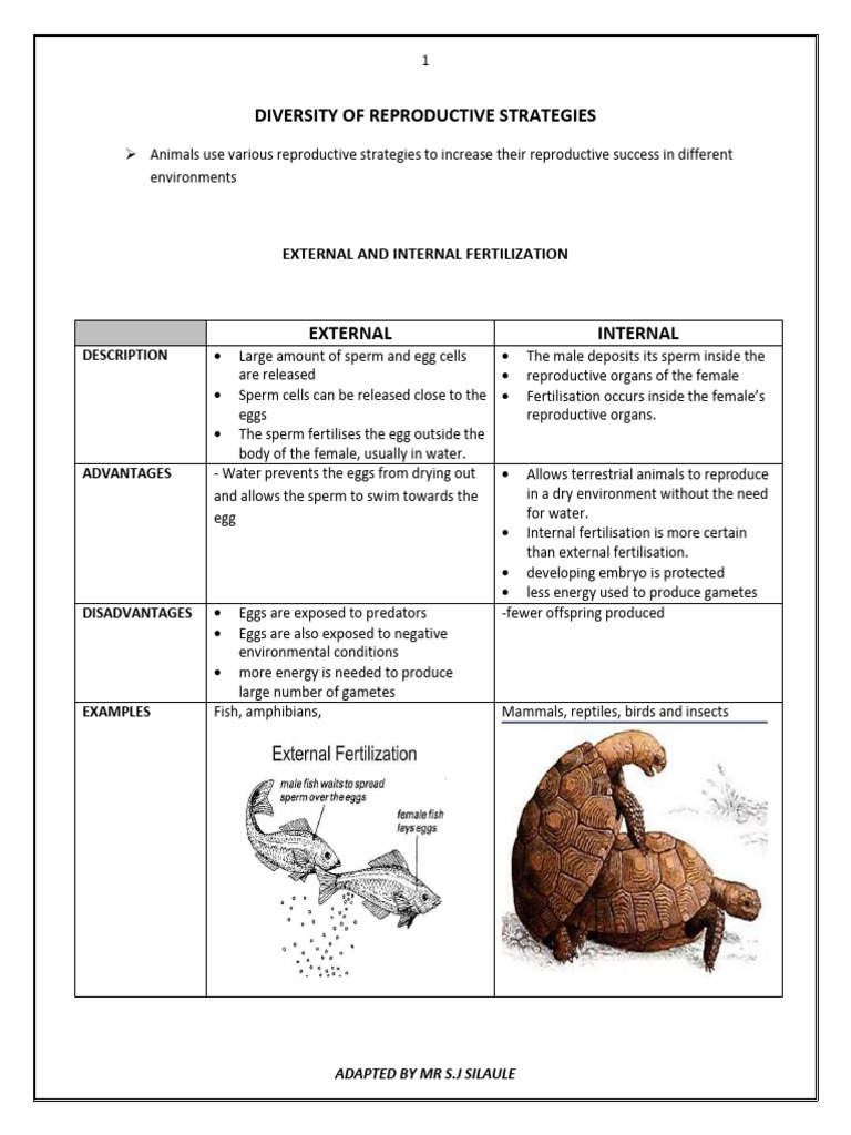 Reproduction Notes 2019 Modified | PDF | Menstrual Cycle | Testicle