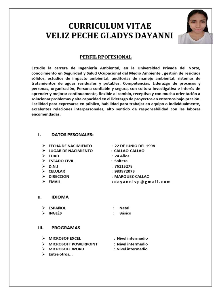 Curriculum Vitae Veliz Peche Gladys Dayanni: Perfil Rpofesional | PDF | Ingeniería Ambiental ...