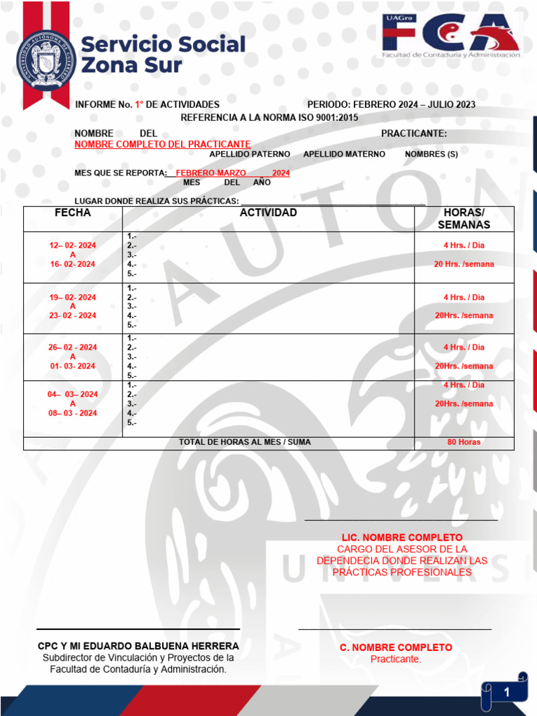 Reporte Mensual FCA | PDF