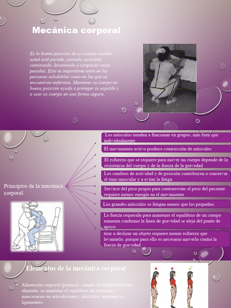 Mecánica Corporal | PDF | Músculo esquelético | Fuerza