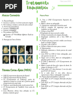 Tecnica Da Silhueta | PDF | Boca | Anatomia dental