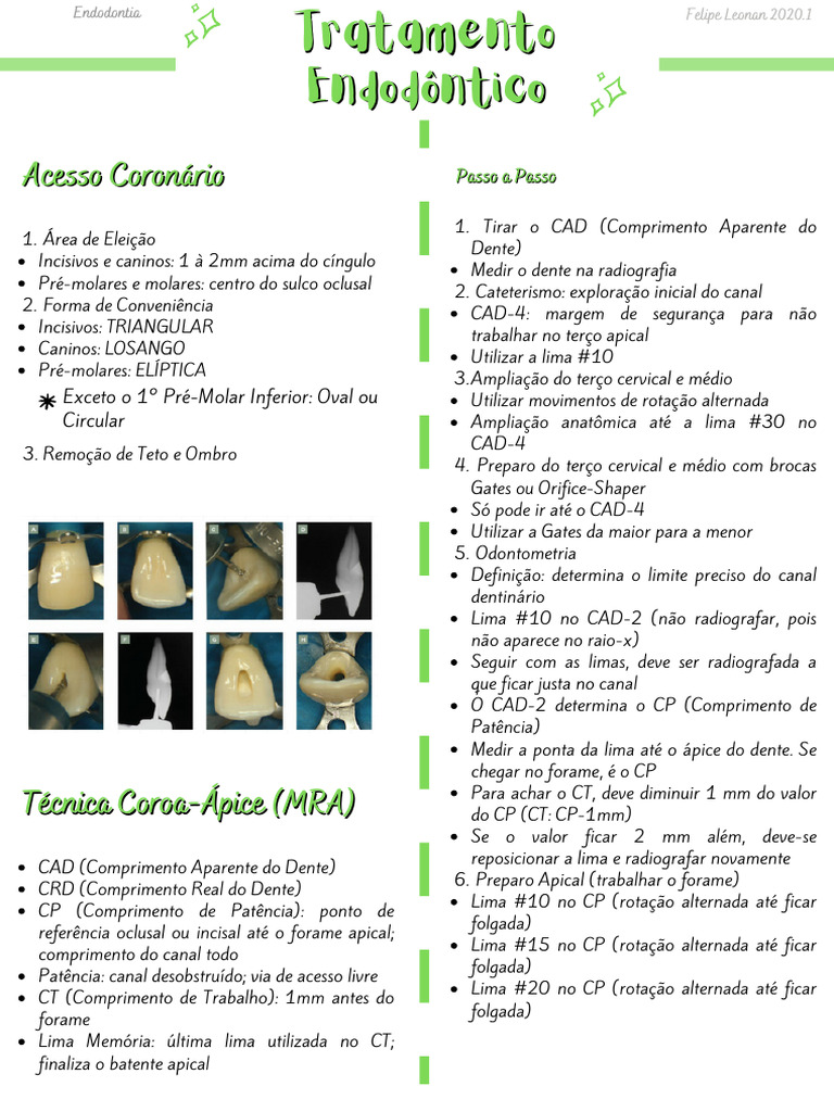 Guia Completo de Tratamento Endodôntico | PDF | Áreas da odontologia