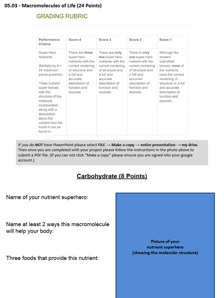 Macromolecule Superhero Project Guide | PDF