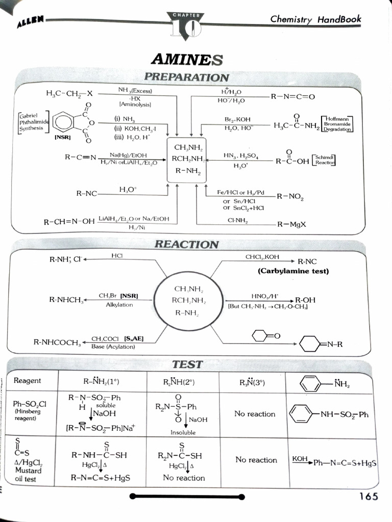Amines Handbook | PDF | Amine | Organic Reactions