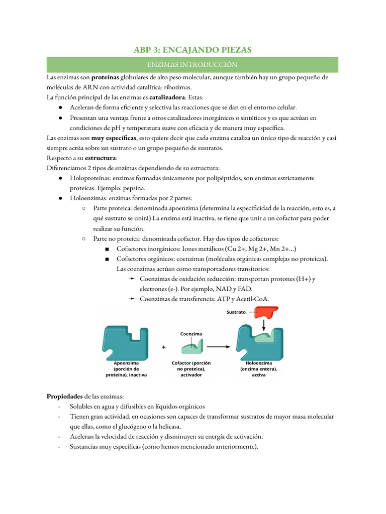 Captura 2024-01-23 A Las 10.34.35 | PDF | Inhibidor de la enzima | Enzima