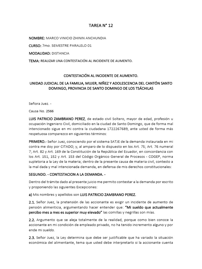 Tarea N 12 | PDF | Gobierno | Justicia