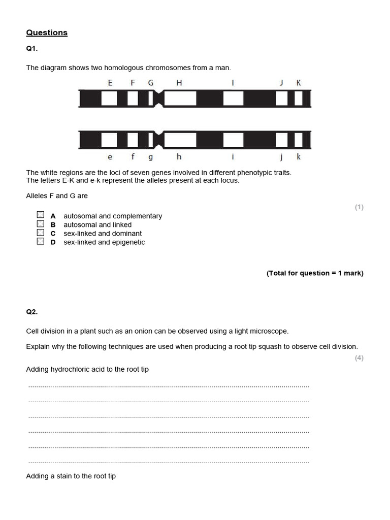 Cell Division and Genetic Linkage Questions | PDF | Ploidy | Genetics