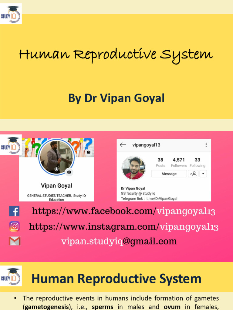 Human Reproductive System | PDF | Menstrual Cycle | Testicle