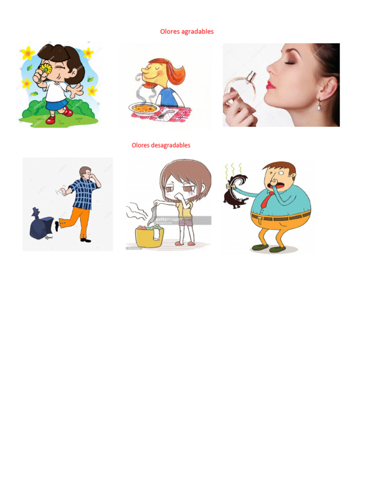 Olores Agradables | PDF