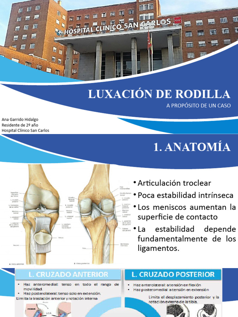 Luxación de Rodilla | PDF | Sistema musculoesquelético | Articulaciones
