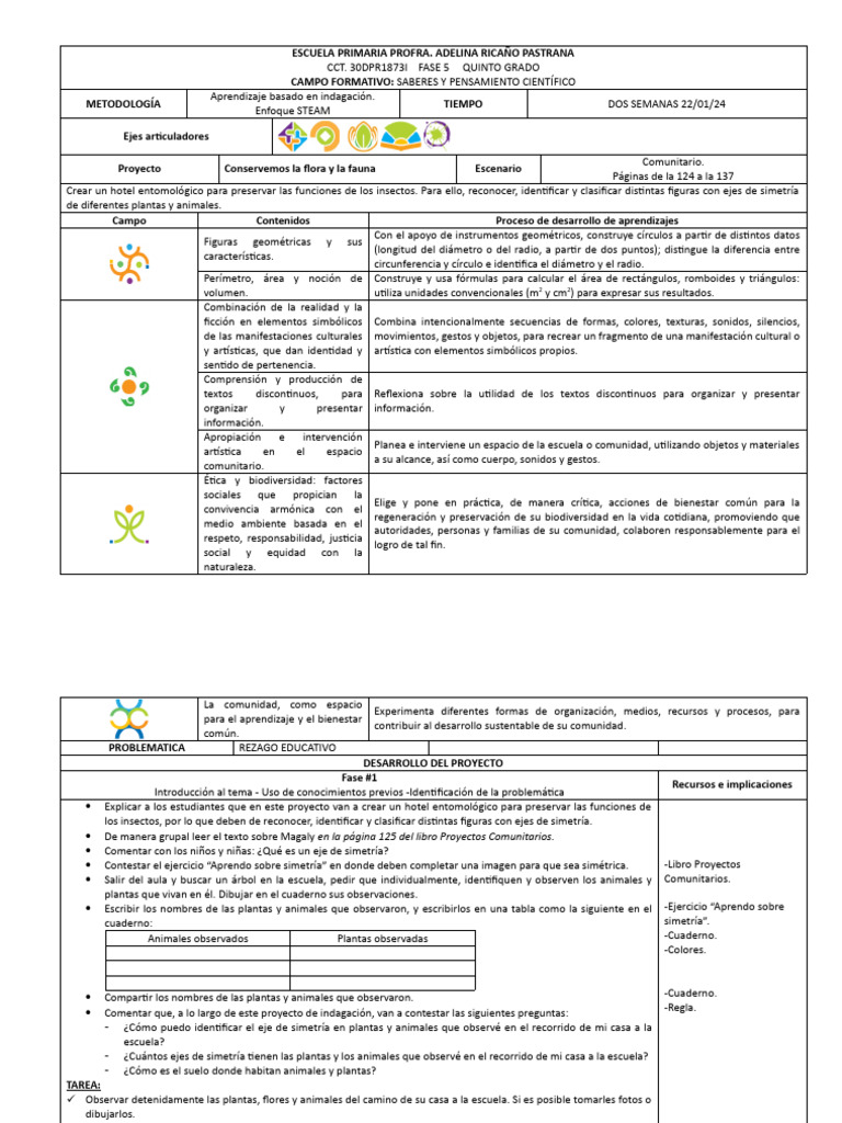 QUINTO Conservemos La Flora y La Fauna (2023-2024) | PDF | Simetría ...