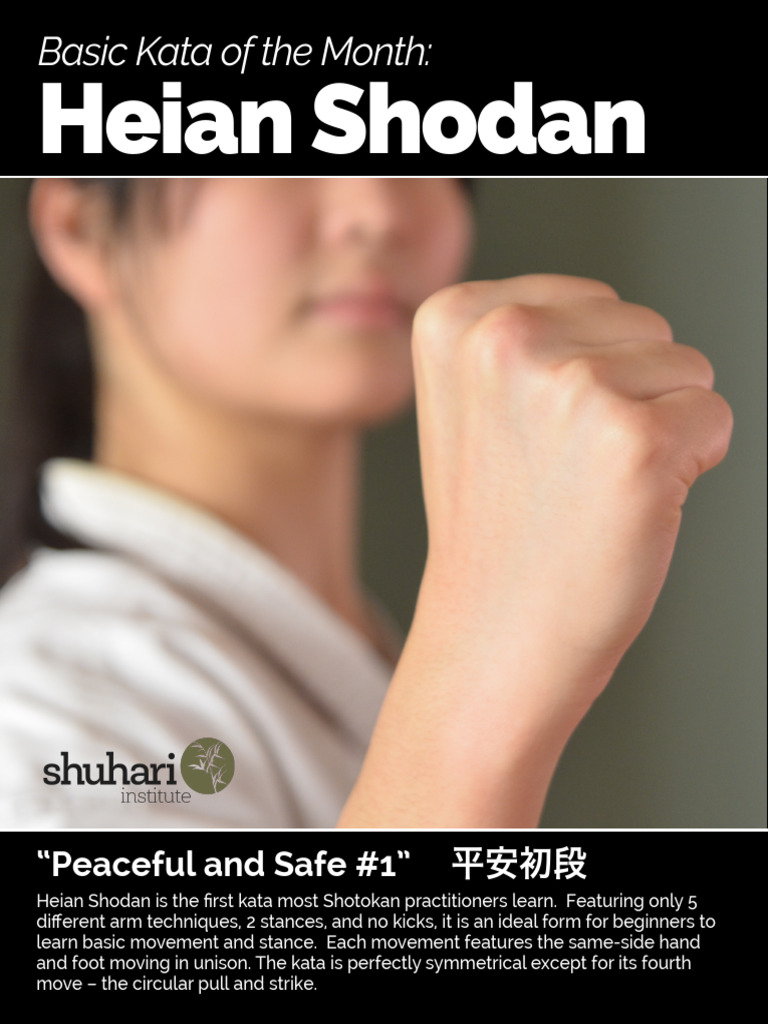1 - Heian Shodan | PDF