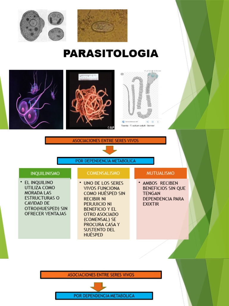 Tipos de Parasitismo y Asociaciones | PDF | Parasitismo | Biología Celular)