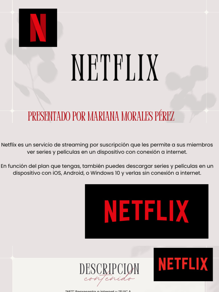 NETFLIX | PDF | Netflix | Internet