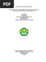 Sistematika dan Biologi Ikan Tenggiri | PDF | Ilmu Sosial