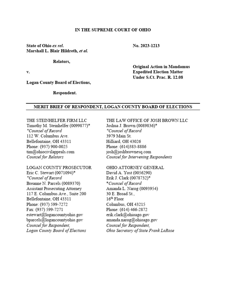 Relators' Merit Brief | PDF | Family | Public Law