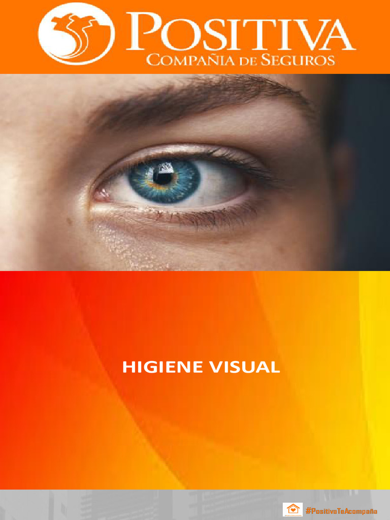 Cartilla Higiene Visual | PDF | Factores humanos y ergonomía