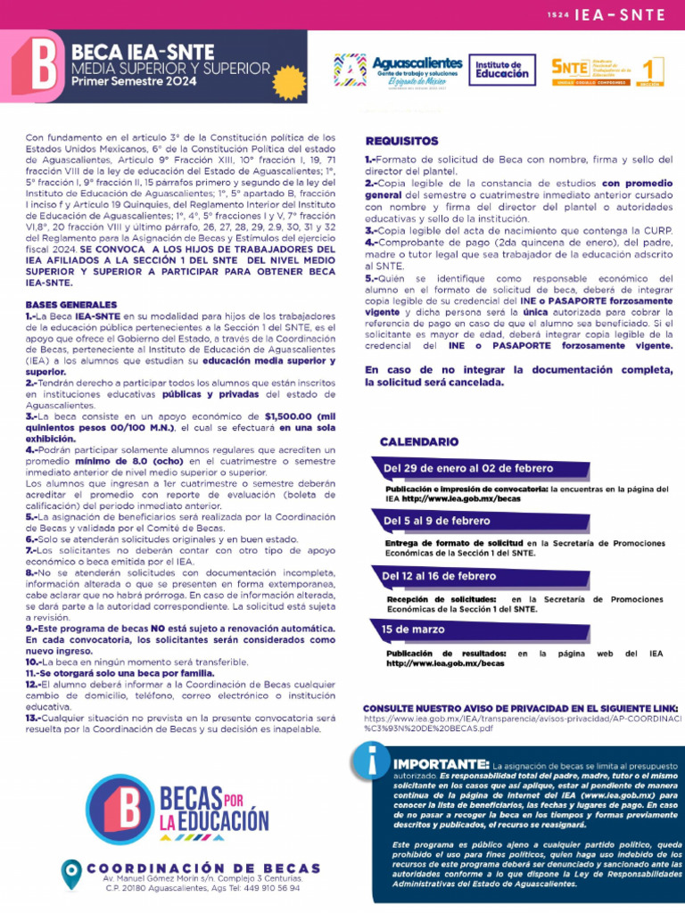 CVT-Beca IEA SNTE Media Superior y Superior | PDF