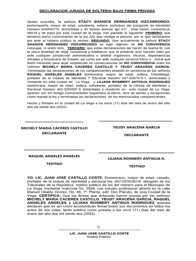 Declaración Jurada | PDF | Gobierno | Justicia