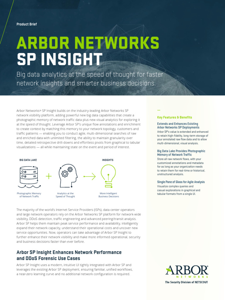 PB ArborSPInsight En-1 | PDF | Denial Of Service Attack | Big Data