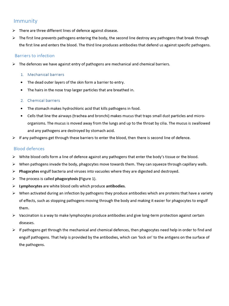 7.Immunity | PDF | Lymphocyte | Immune System