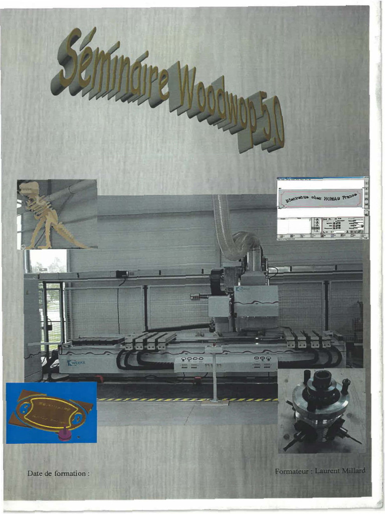 Manual Woodwop Frances1 | PDF