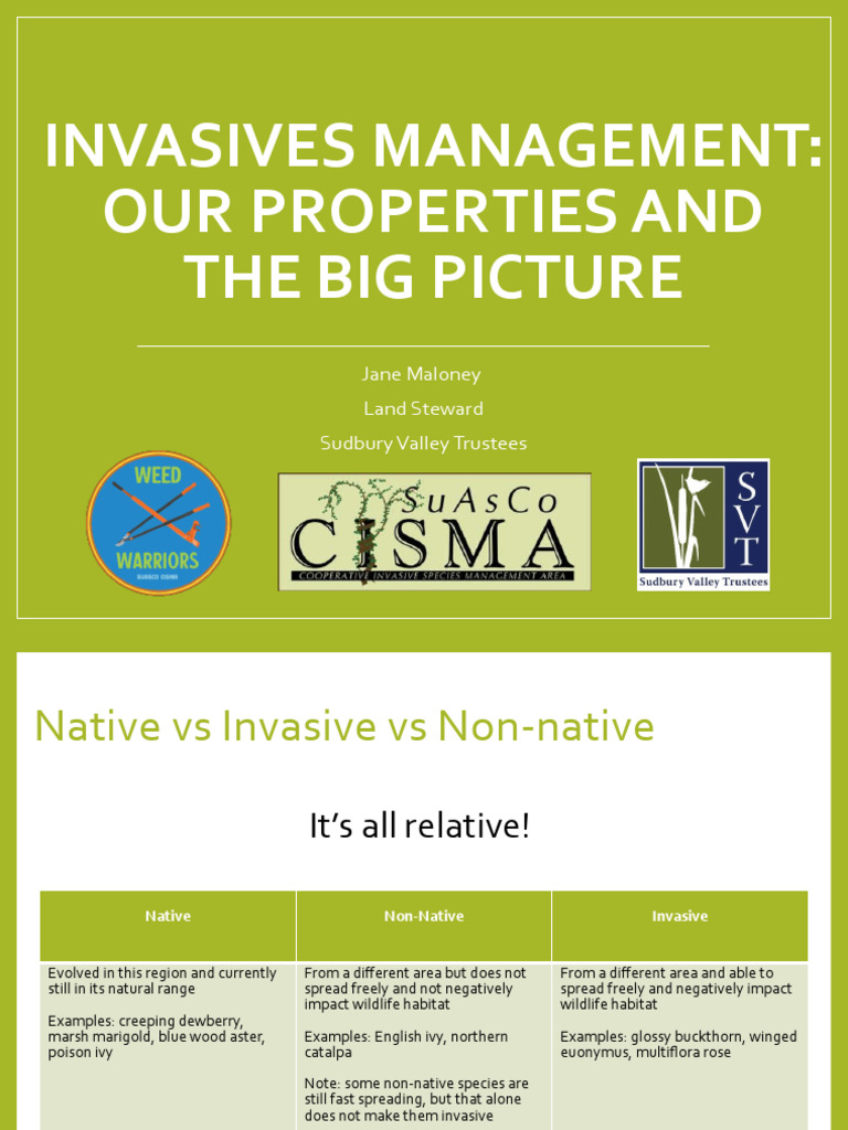 Invasives Management Big Picture MCD | PDF | Invasive Species | Trees