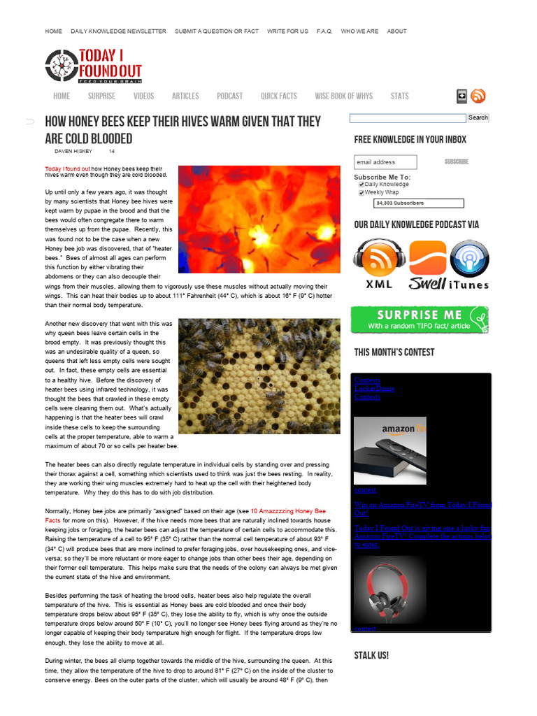 How Honey Bees Keep Their Hives Warm Given That They Are Cold Blooded ...