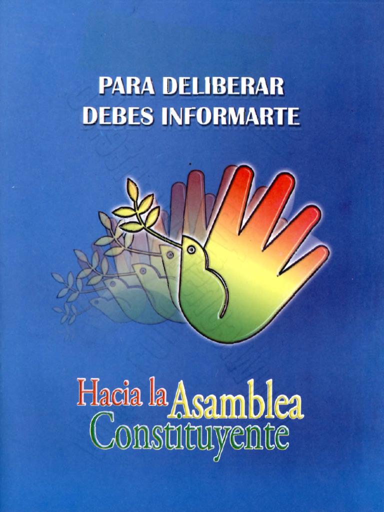 Deliberar Asamblea | PDF | Constitución | Bolivia