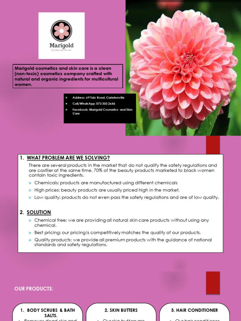 Marigold Pitch Deck. | PDF | Cosmetics | Marketing