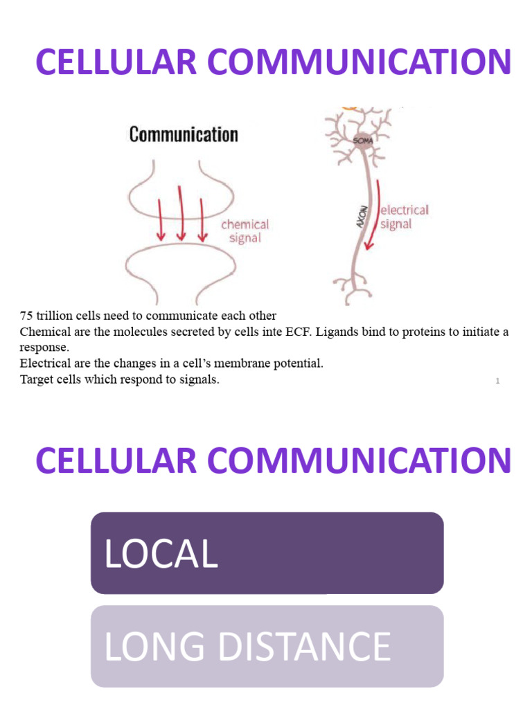 Cellular Communication Mechanisms Explained | PDF | Cell Signaling ...