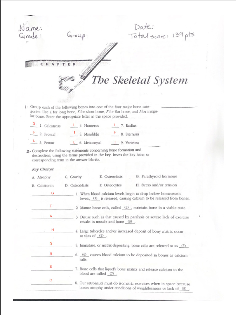 Anatomy and Physiology: Bones Review Answer Key | PDF