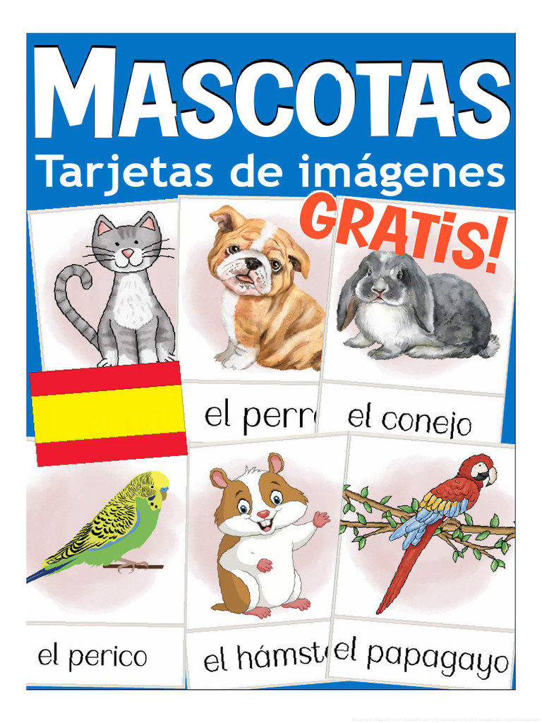 Mascotas - Spanish Espanol Flash Cards (Pets) - Com | PDF ...