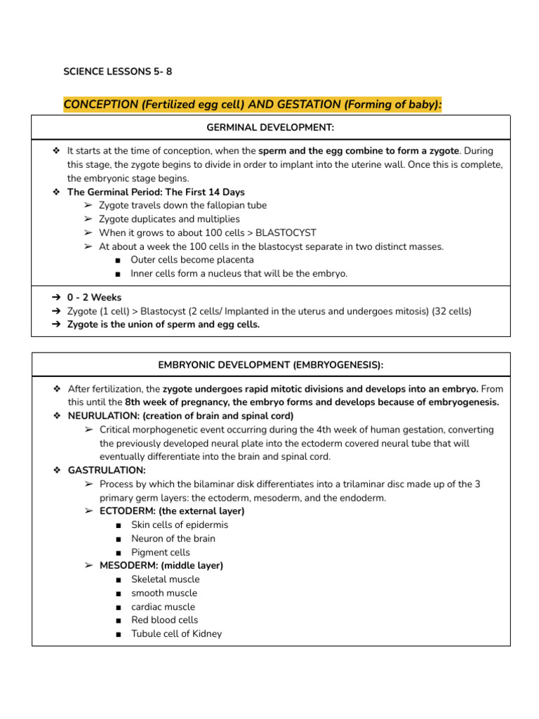 Human Development and Genetics Overview | PDF | Dna | Embryo