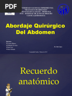 Incisiones Quirúrgicas | PDF | Abdomen | Anatomía