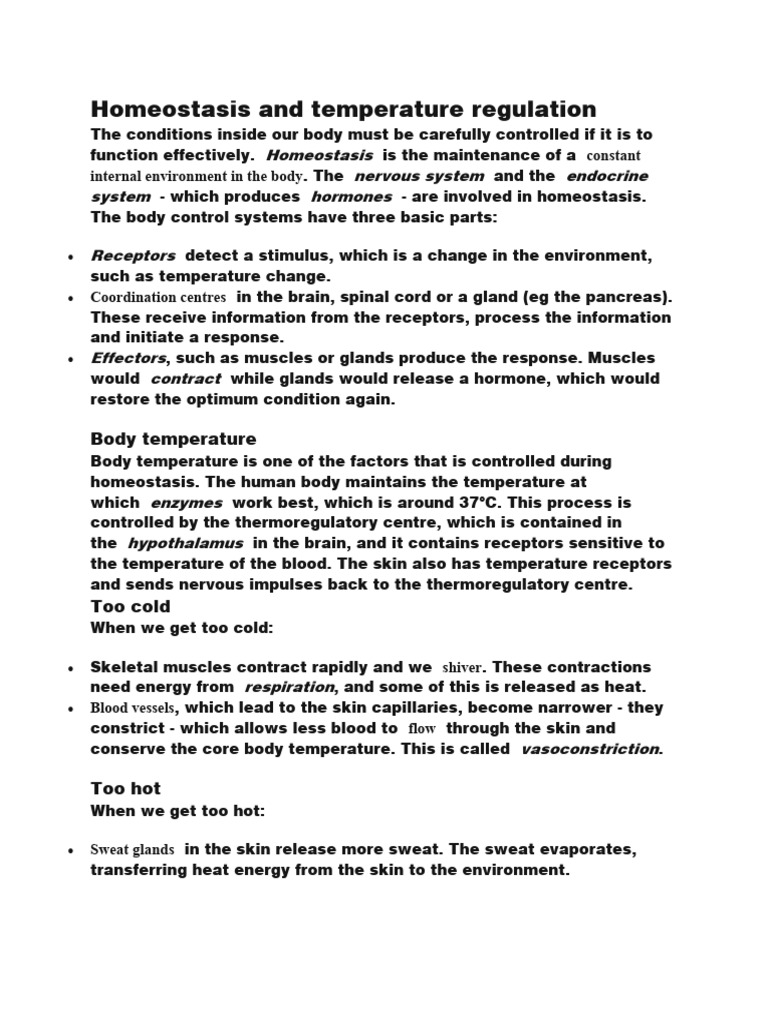 Homeostasis and Temperature Regulation | PDF | Vasodilation | Homeostasis