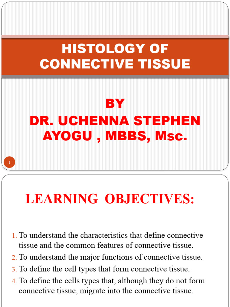 Histology of Connective Tissue | PDF | Connective Tissue ...
