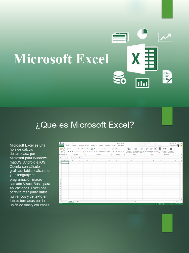 Microsoft Excel | PDF | Microsoft Excel | Hoja de cálculo