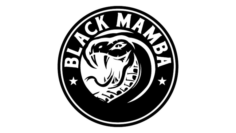 Mamba | PDF